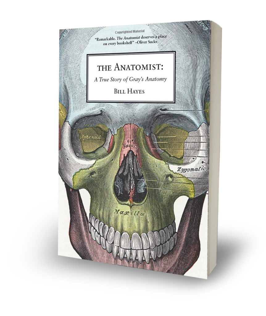 The Anatomist: A True Story of Gray’s Anatomy | Bill Hayes | Writer and ...